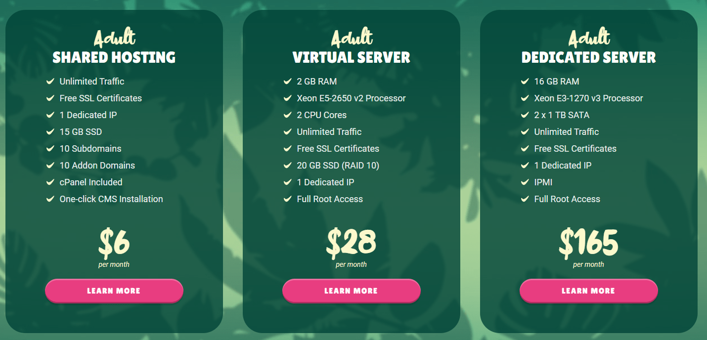 Order Hosting from ViceTemple - #1 Simple Steps by Step Guide