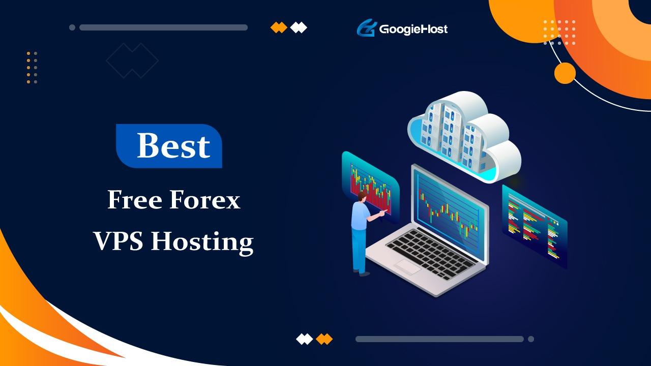 9 Best DMCA Ignored Hosting Server (August, 2024)- Top Ranked