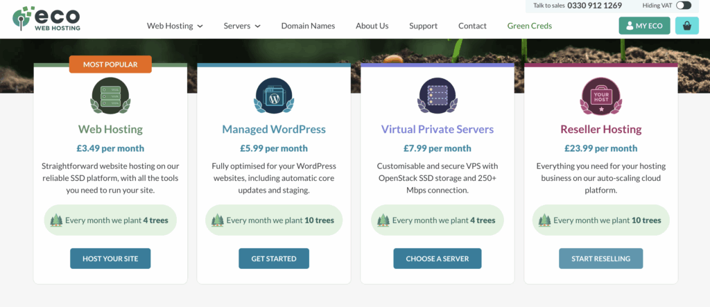 EcoWebHosting Review 2026: Pricing, Pros, Cons & Verdict